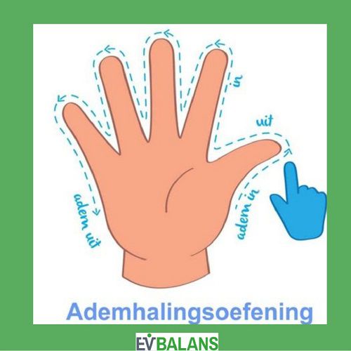 Ademhaling - EV Balans Coaching